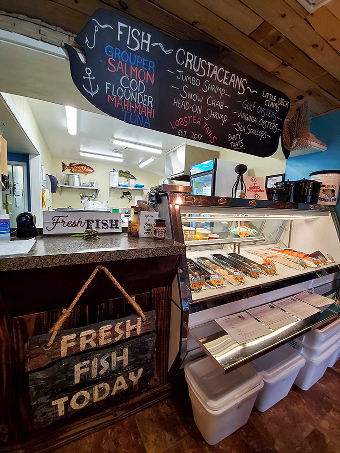 The beating heart of Bimini's – where orders fly, drinks pour, and the staff orchestrates the controlled chaos of seafood perfection.