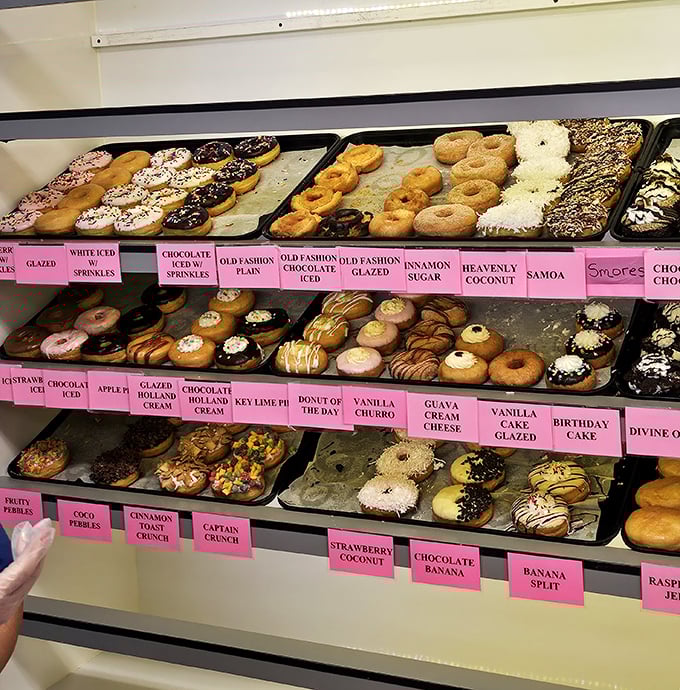 The display case – a museum of fried dough possibilities that makes choosing just one feel like Sophie's Choice: Donut Edition.