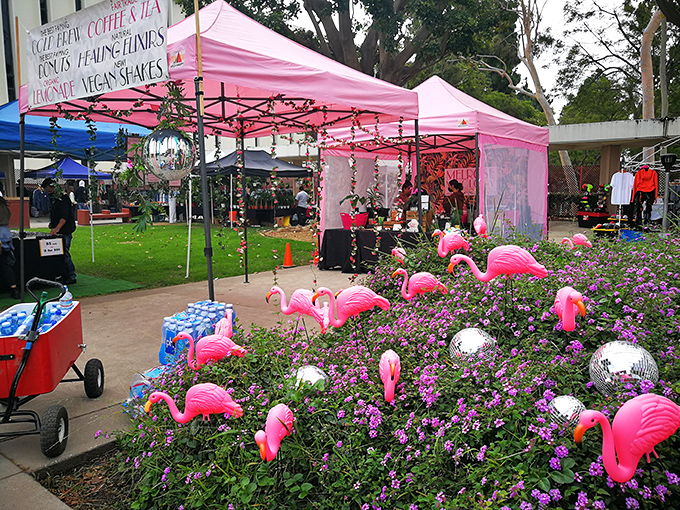 A flamingo garden in full bloom – where plastic birds and purple flowers create the perfect Instagram backdrop for Sunday market wanderers.