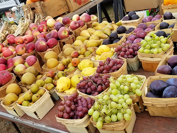 Nature's candy displayed in rustic baskets. These aren't your supermarket fruits—they're conversation pieces with flavor to match.