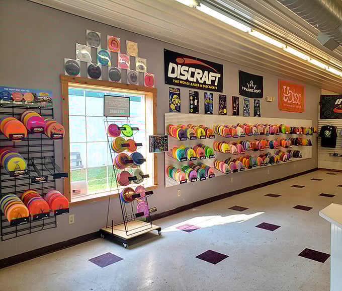 A rainbow explosion of flying discs proves the market isn't just about yesterday's treasures—modern hobbies find their home here too.