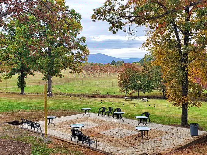 Grace Estate Winery offers the perfect autumn tableau—fall foliage, vineyard views, and outdoor seating that invites you to linger until sunset turns your wine golden.