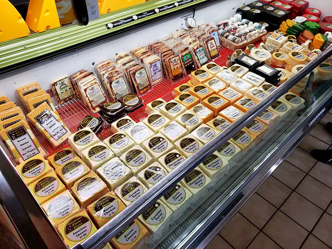 A United Nations of cheese varieties peacefully coexisting behind glass—from mild-mannered youngsters to sharp-tongued elders with attitude.