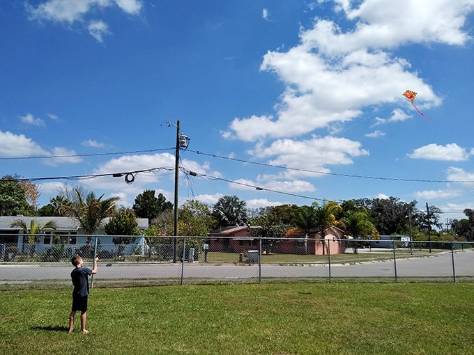In Sebring neighborhoods, flying kites remains an acceptable form of entertainment—no subscription required, batteries not included, joy guaranteed.