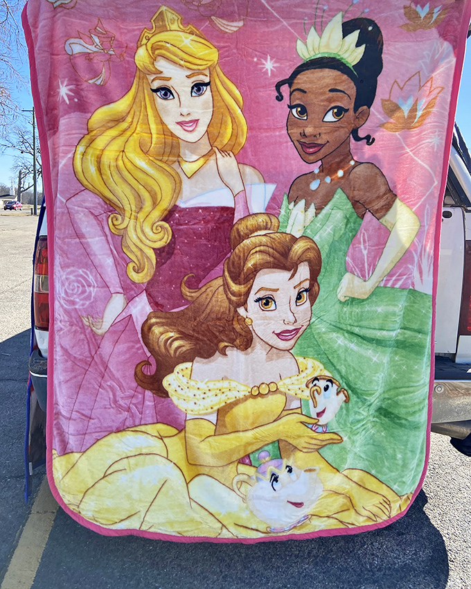 Disney princesses never go out of style. This blanket promises magical dreams—or at least warmth during those chilly Missouri evenings.