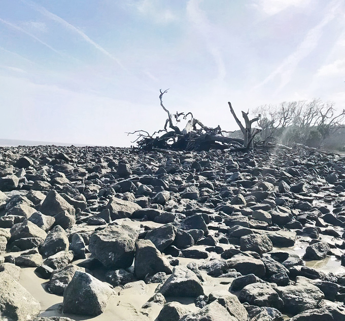 Beyond the sand lies a rugged terrain of rocks and driftwood – a reminder of nature's constant reshaping of this dynamic shoreline.