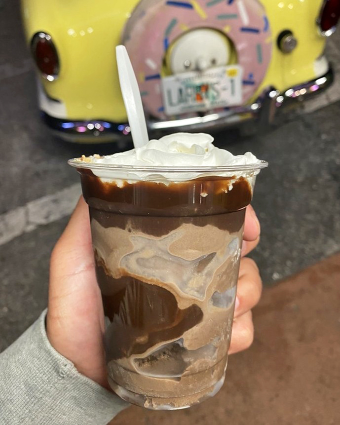 This isn't just a sundae—it's a chocolate excavation site topped with whipped cream, caramel, and zero regrets.