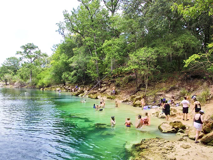 The spring's edge creates nature's perfect swimming pool, with limestone shelves offering convenient entry points into crystalline waters. Dive in!