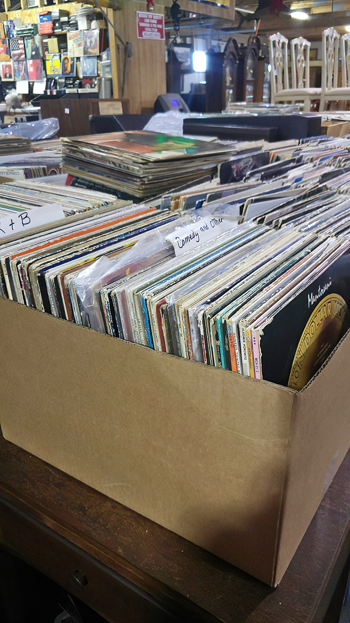 Vinyl treasure hunters know the joy of flipping through history one album at a time—somewhere in this box is the soundtrack to someone's first dance.