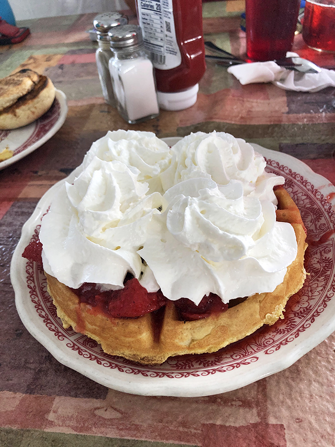 A waffle mountain topped with a whipped cream snowcap and berry avalanche. Breakfast that thinks it's dessert, and we're not complaining.