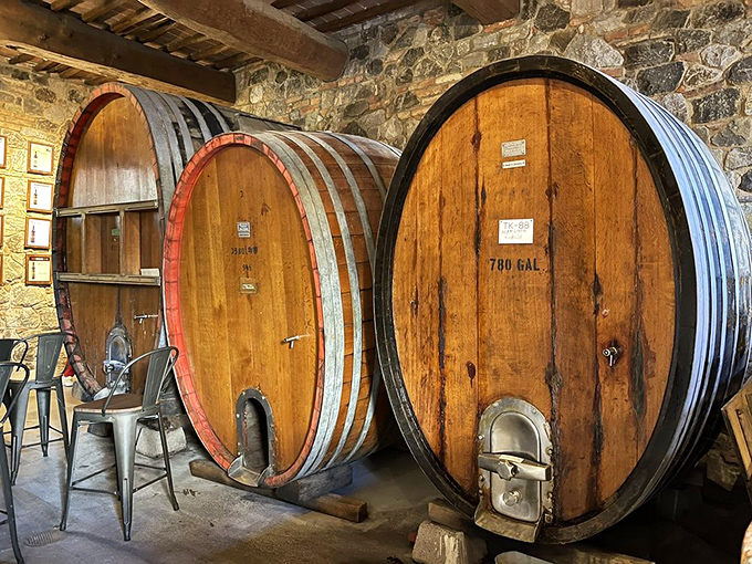 These massive oak barrels aren't just for show—they're working hard to transform grape juice into liquid poetry. Size definitely matters in winemaking.