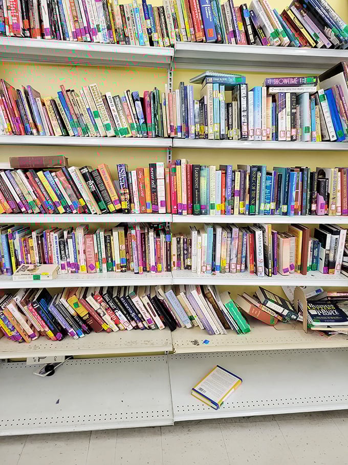 Books stacked with the potential to transport you anywhere—cookbooks beside mysteries beside self-help guides. Library cards not required!
