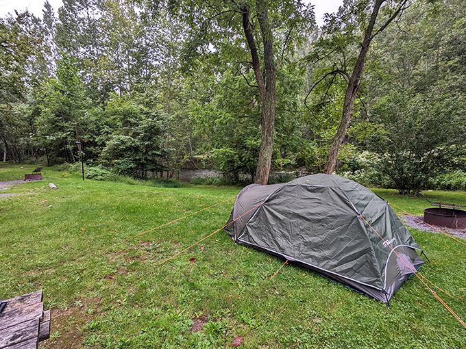 Camping simplicity at its finest—where your backyard temporarily includes ancient trees, birdsong alarms, and zero HOA restrictions.