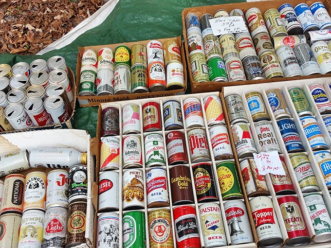 Beer can archaeology at its finest—each vintage pull-tab a time capsule. Remember when you could identify your neighbor's brand preference by their trash?