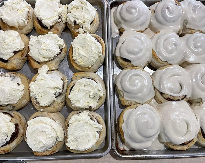 Cinnamon rolls in their natural habitat – some awaiting their frosting destiny, others already gloriously glazed and ready for their close-up.