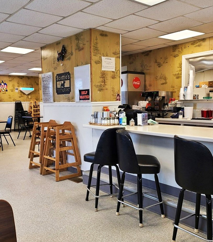 The counter – where solo diners become part of the restaurant family and where regulars claim their spots like assigned seating.