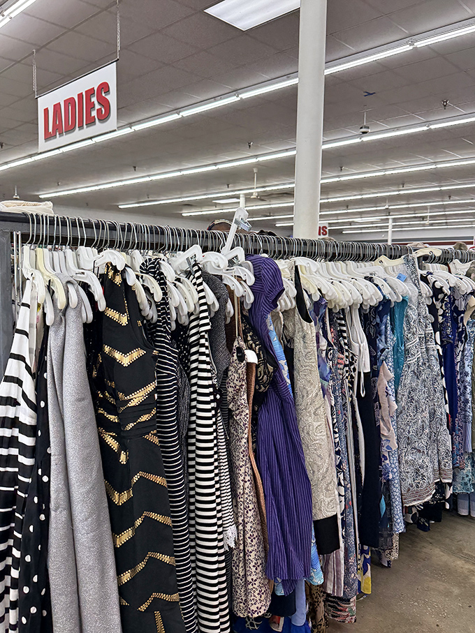 Ladies' fashion stretching into infinity – where style meets savings in the most beautiful way possible imaginable.