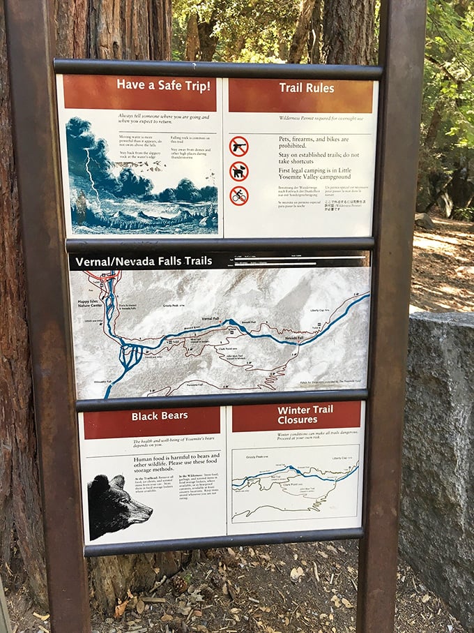 The information board that separates the "I read everything" hikers from the "let's just wing it" crowd. Bears, closures, and maps—oh my!