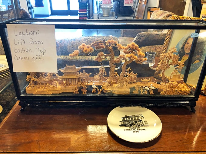 An intricate carved scene under glass—part conversation piece, part time capsule. The kind of find that makes thrift store devotees do their happy dance right in the aisle.