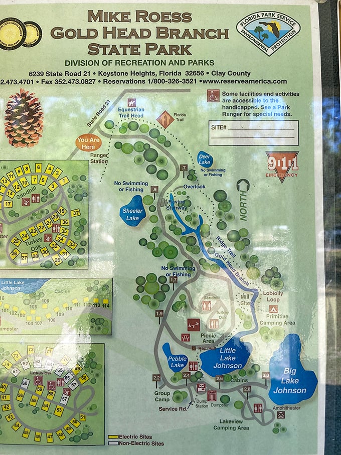 The treasure map to Florida's natural gold – no pirate required, just comfortable walking shoes and a sense of adventure.