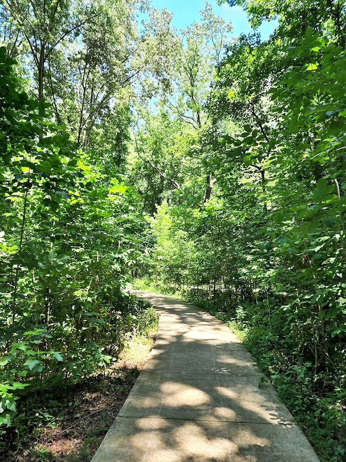 Nature's green tunnel beckons with dappled sunlight playing hide-and-seek on the path. An invitation to wander that's impossible to decline.