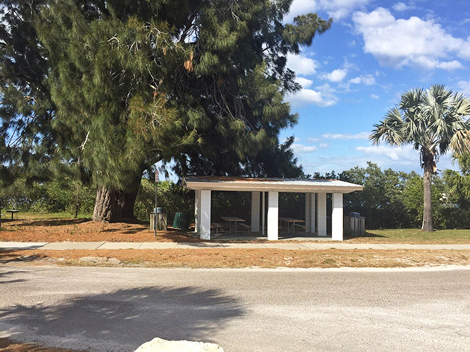 Simple pleasures in shaded comfort. This picnic spot offers five-star views with a zero-star price tag—the best kind of Florida real estate deal.