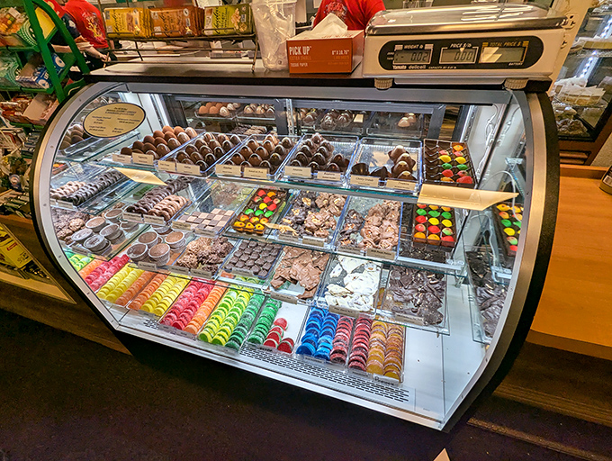 The dessert case – where willpower goes to die. Chocolate, cookies, and pastries arranged like jewels in a treasure chest of calories.