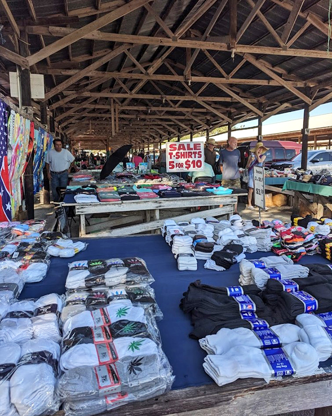 T-shirt territory where fashion meets function. Five for $10 means you can dress for a week without breaking the bank—Florida thrift at its finest.