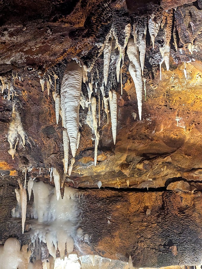 These delicate formations look like nature's pipe organs, ready to play a symphony that's been composing itself one mineral-rich drop at a time.