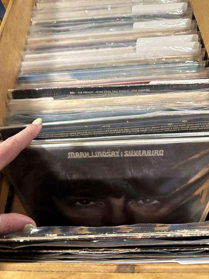 Vinyl record collectors know the thrill of the hunt—flipping through albums where forgotten gems hide between familiar classics, each cover art a time capsule.