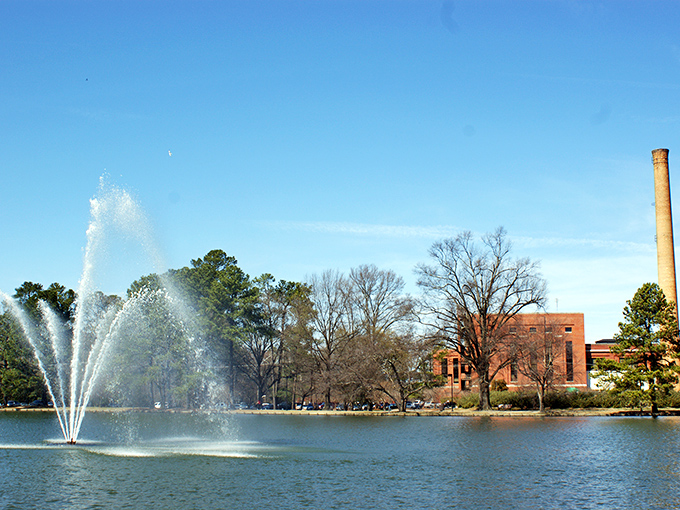 Rocky Mount's skyline might not reach the clouds, but neither do the housing prices—and that's something to celebrate.