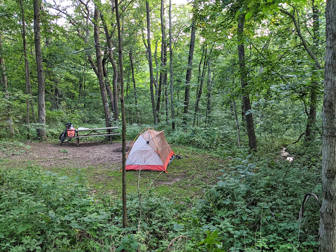 Camping in New Glarus Woods offers a five-million-star hotel experience – nature's version of luxury accommodations.