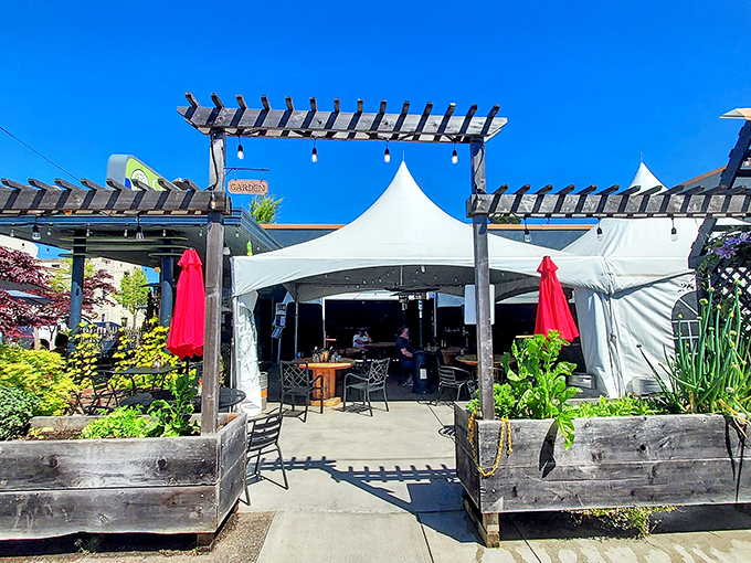 Coast Fork Brewing's outdoor setup isn't just a patio—it's an open-air living room where strangers become friends over pints of liquid craftsmanship.