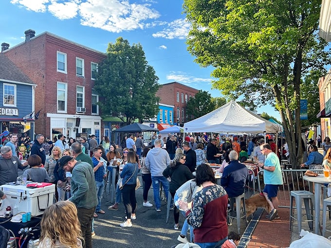 Street festivals transform downtown into a community living room where strangers become friends over shared plates and local gossip.