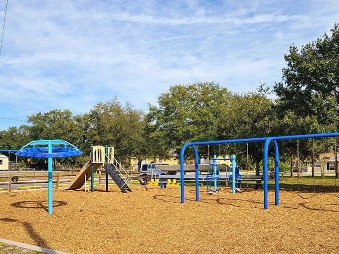Even the playgrounds in Crystal River seem more inviting – as if childhood itself gets an upgrade in this natural paradise.