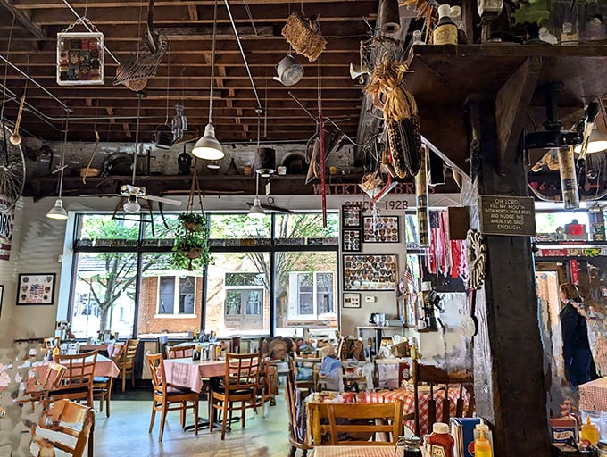 Every inch of ceiling space tells a story of Carolina's agricultural past. It's like dining inside a particularly delicious history book.