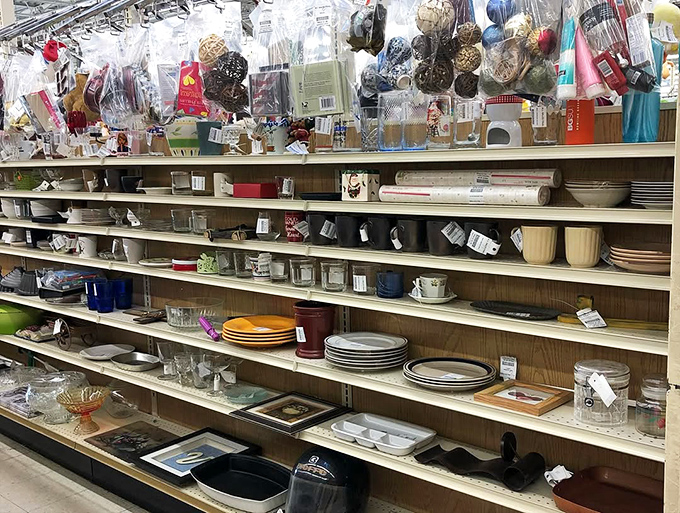 Dish-covery zone! From everyday plates to that one missing piece from grandma's china pattern you've been hunting for years.