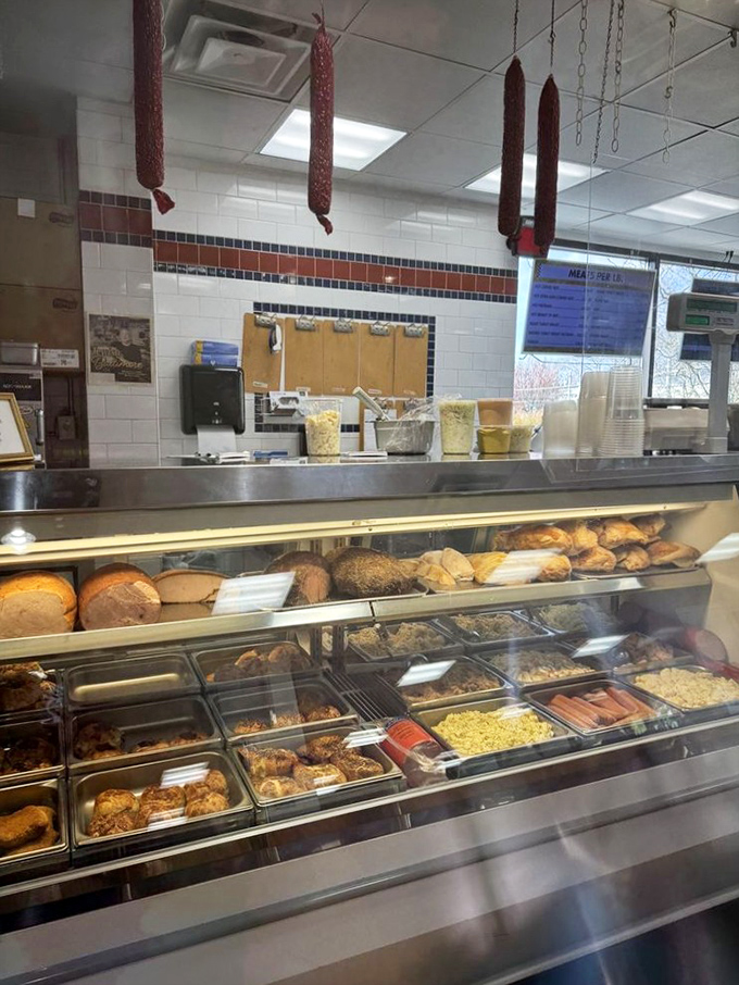 Behind this glass lies the promised land of prepared foods—salamis hanging like meaty stalactites above potato salads that grandmothers would approve of.