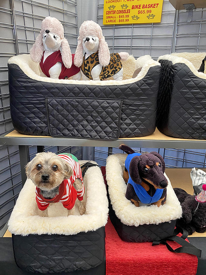 Pampered pooches model the latest in pet luxury accommodations – because Fido deserves better than the floor.