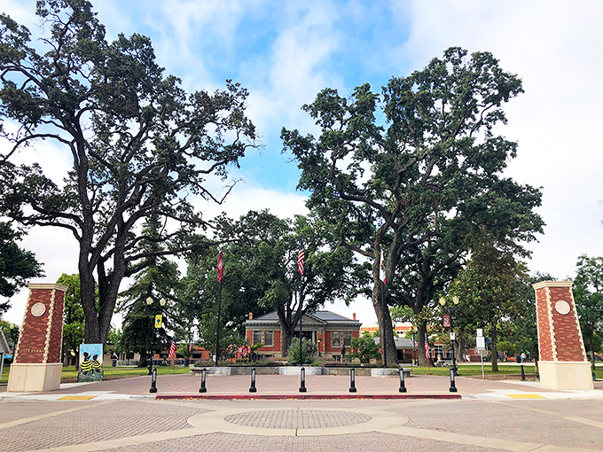 Downtown City Park: where community actually means something. Generations have gathered under these oaks to gossip, celebrate, and occasionally nap.