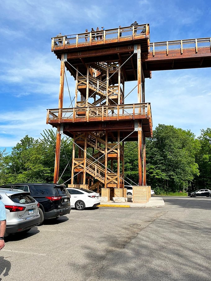 Eagle Tower offers panoramic views for the effort of climbing its wooden stairs. The closest thing to flight without leaving the ground.