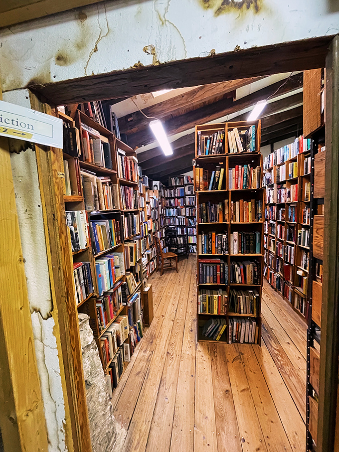 The fiction section stretches into the distance like a literary canyon, walls of imagination rising on either side of that inviting oriental runner.