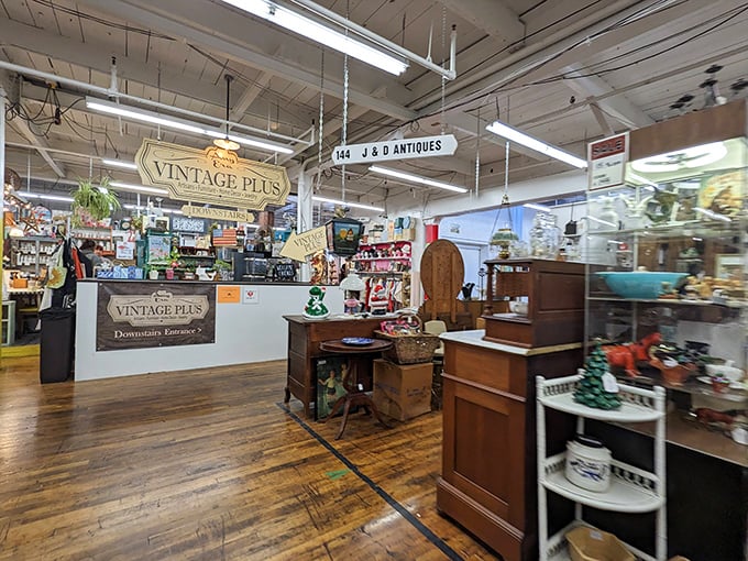 "Vintage Plus" indeed—where vendor booths become personal museums, each with its own curator and distinctive personality.