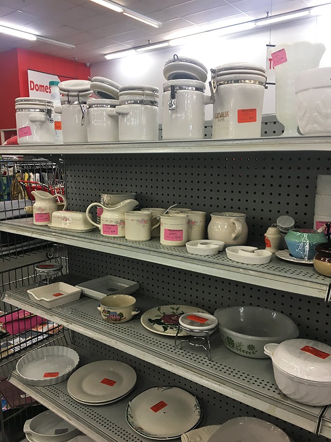 Kitchen treasures await new homes—ceramic containers that once held someone's flour now ready for your sugar. Dishes with more lives than cats.