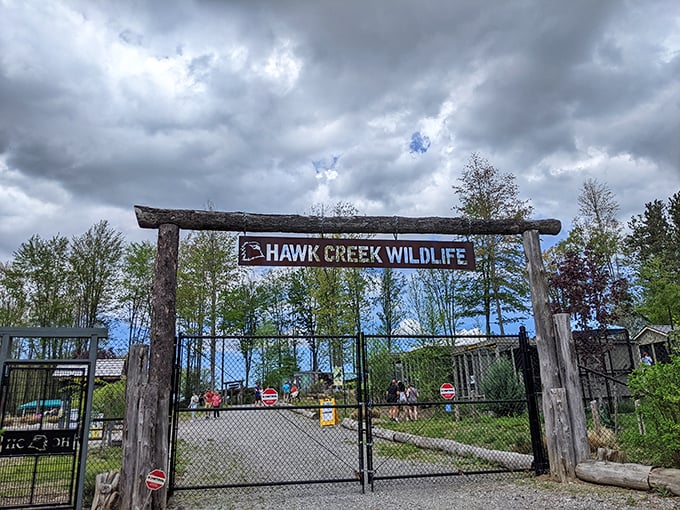 Hawk Creek's rustic entrance promises wild encounters of the educational kind – no passport required for this animal adventure.