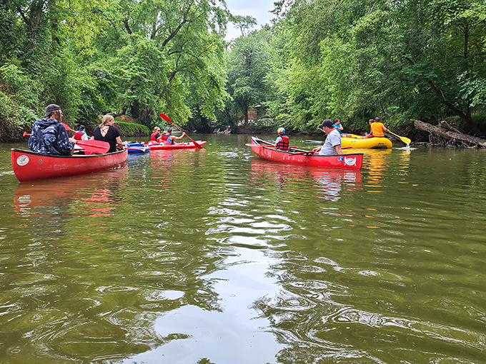 Colorful kayaks dot the gentle waters like confetti on nature's playground. Paddling here connects you to the river in ways hiking never could.
