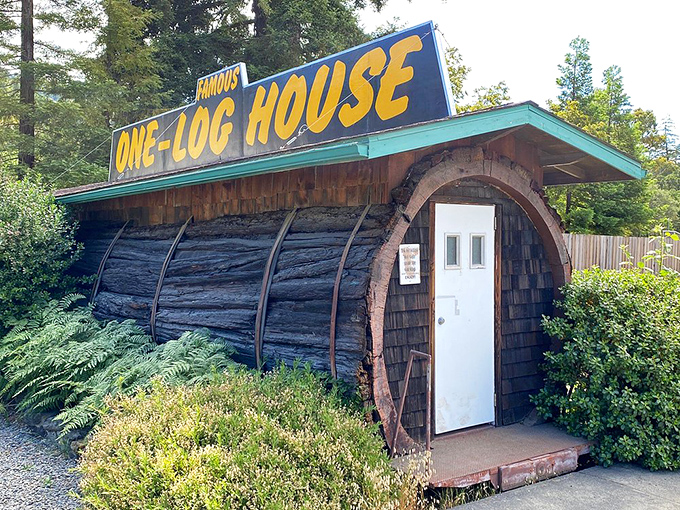 Living in a log cabin takes on new meaning when the logs are this size. 