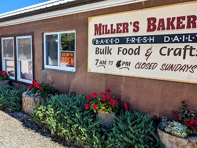 Miller's Bakery promises "Baked Fresh Daily" – words that mean exactly what they say in a place where shortcuts aren't celebrated and patience produces perfection.