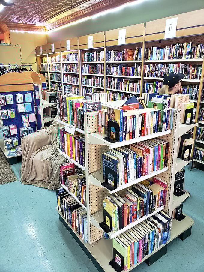 Bookstores like this are endangered treasures – shelves packed with possibilities and that irreplaceable scent of paper and possibility.