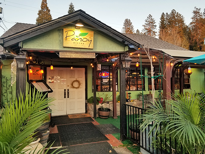 Cozy bistros offer global flavors in intimate settings where every meal feels like a special occasion.